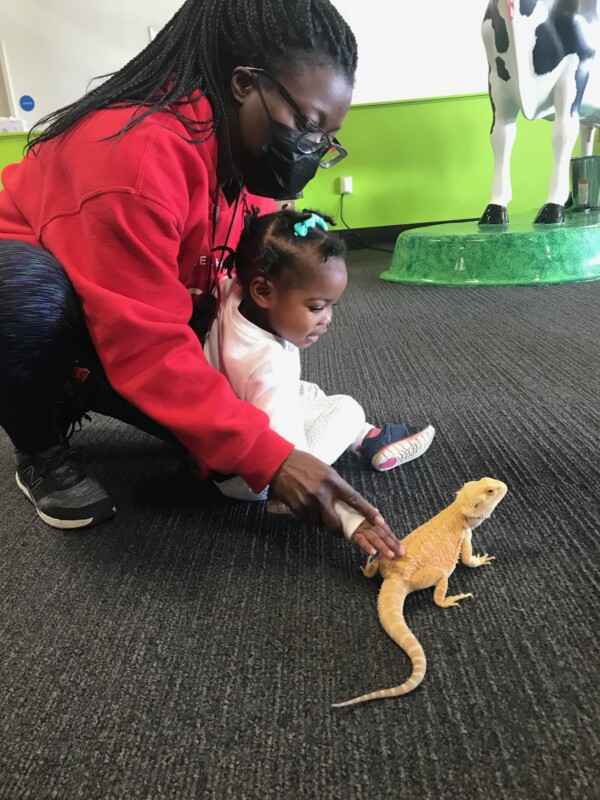 Explorium Denton - A Children's Museum